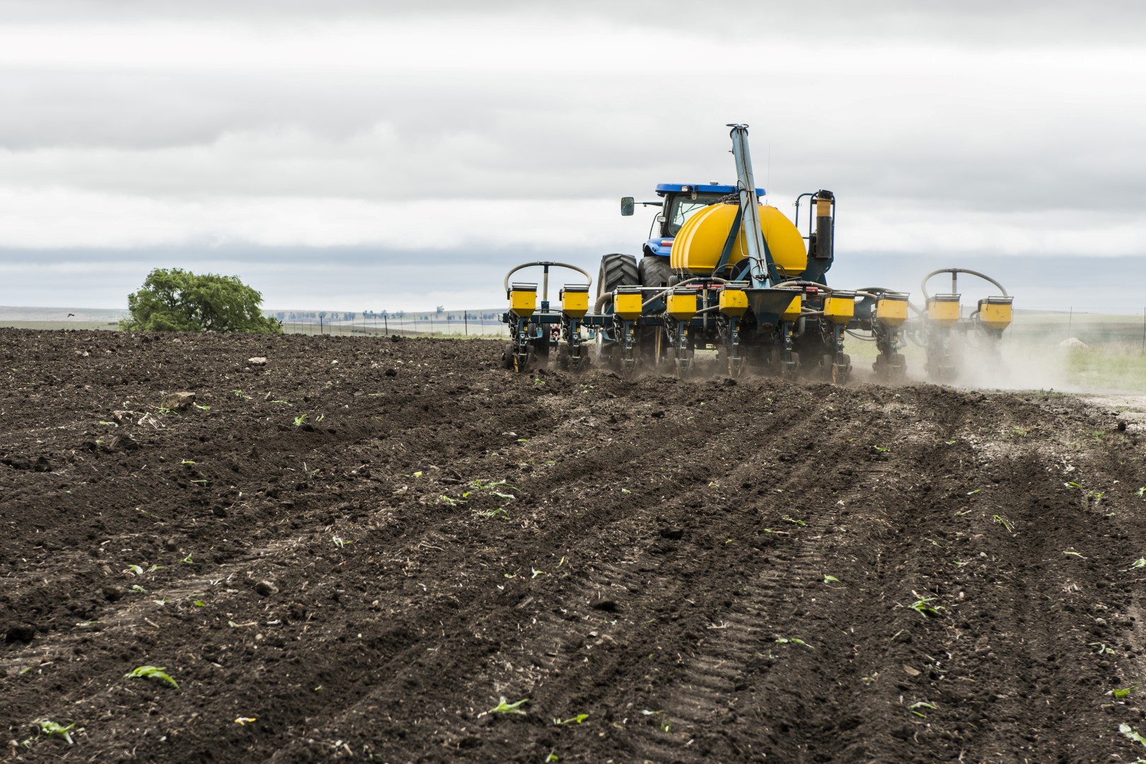 Drier conditions spook maize traders - Moneyweb