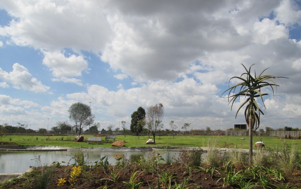 Calgro M3 moves into the burial business - Moneyweb