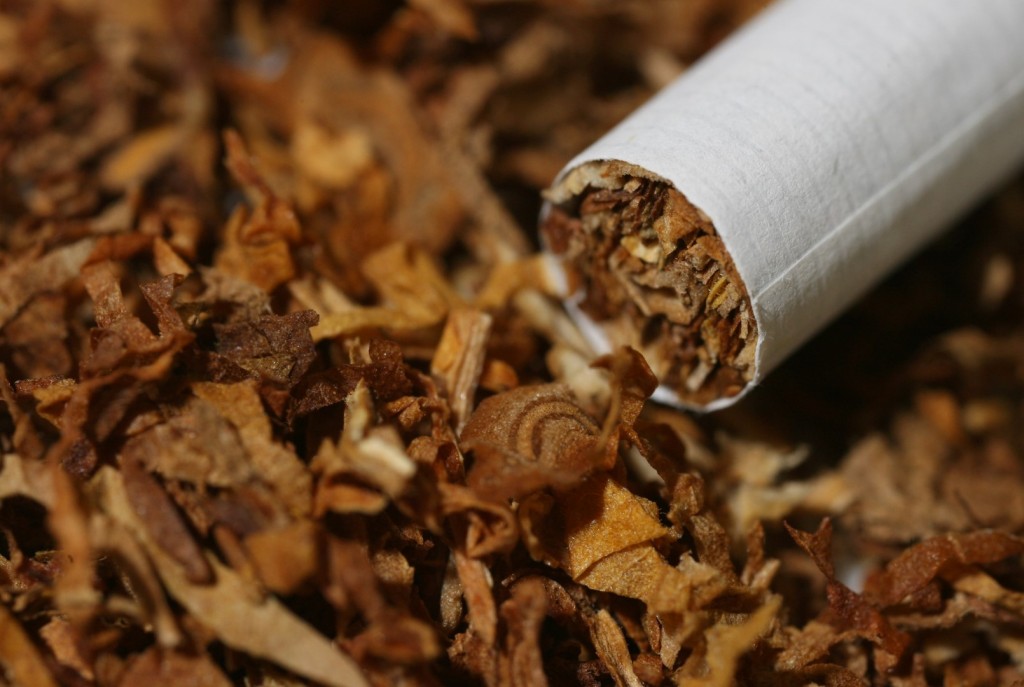 Batsa continues legal fight to lift tobacco ban - Moneyweb