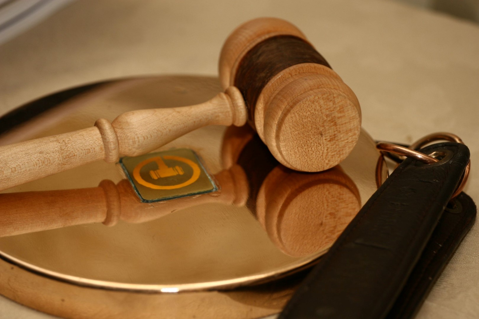 World’s most expensive African buffalo valued at R176m - Moneyweb