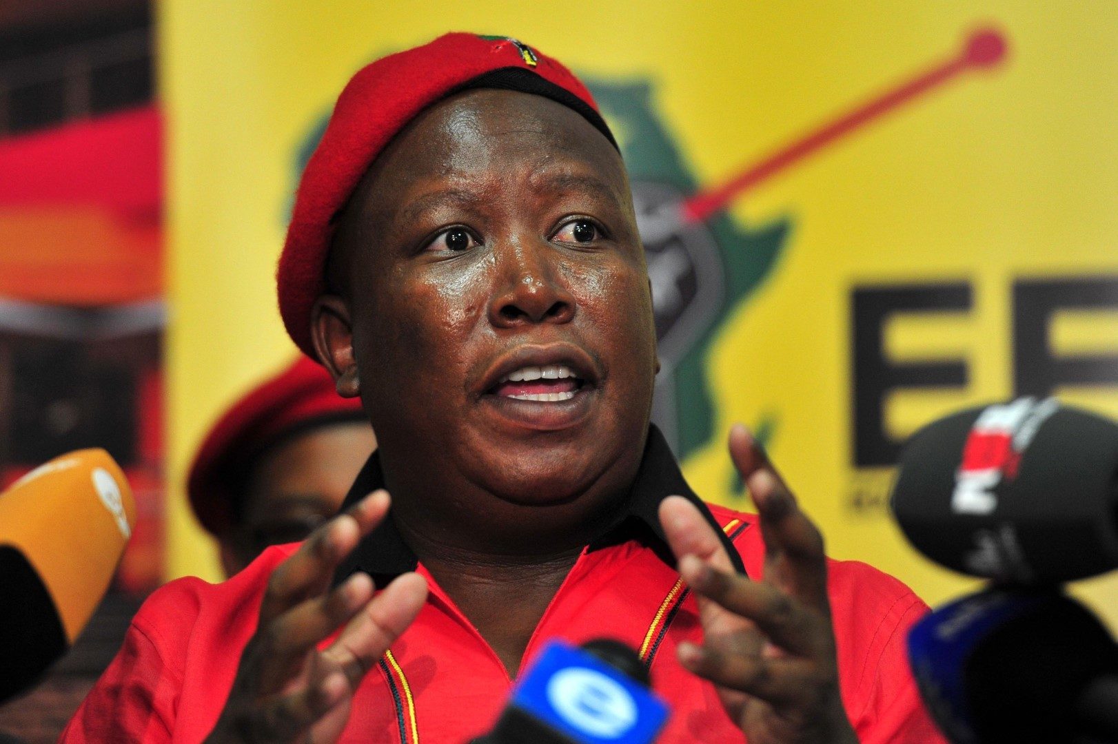Malema: We need real black property owners - Moneyweb