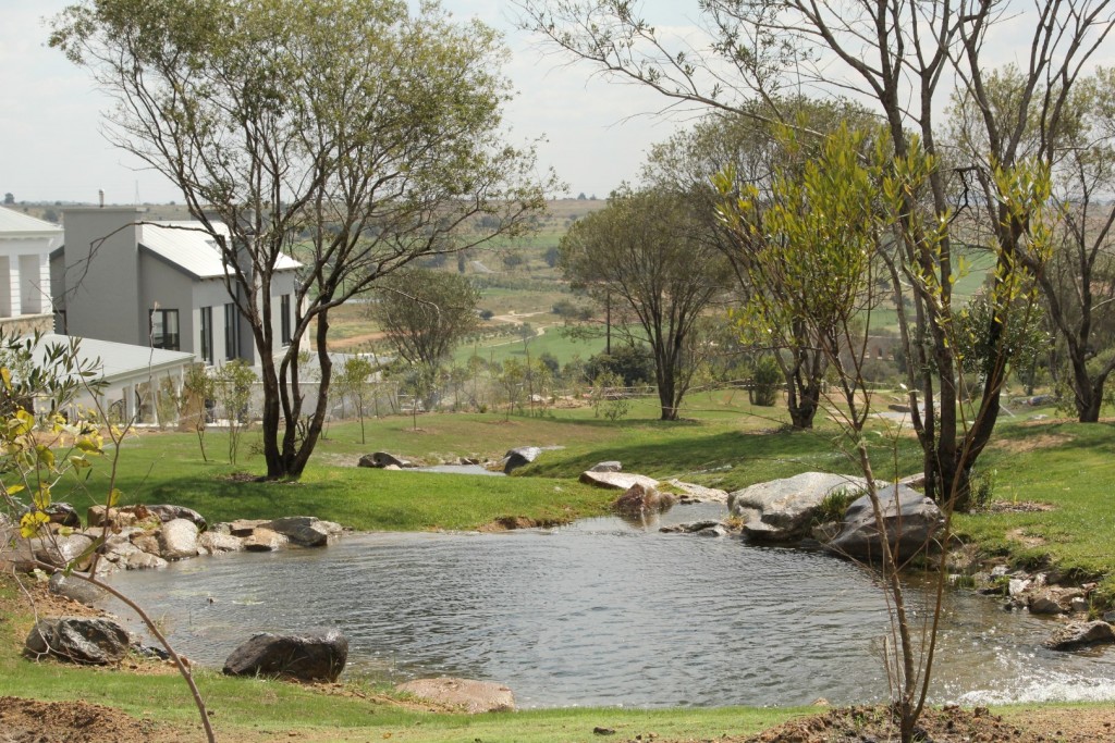 Steyn City is rapidly taking shape - Moneyweb