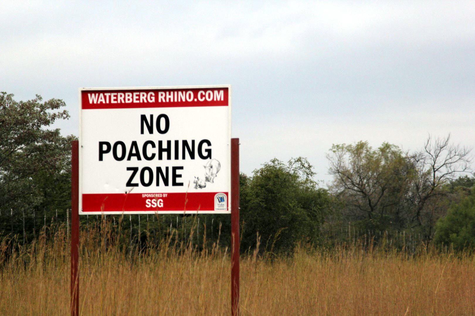 Police probing allegation of rhino poaching against minister - Moneyweb