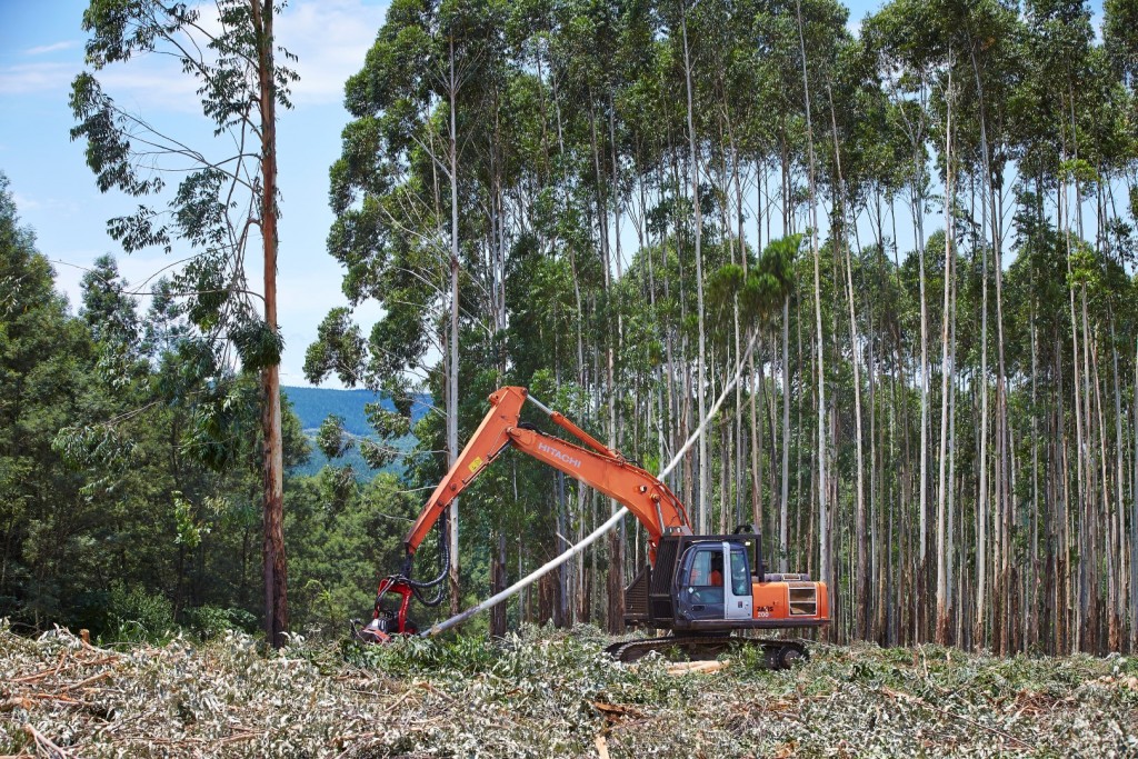 [TOP STORY] A look at Mondi, now clear of its Russian business - Moneyweb