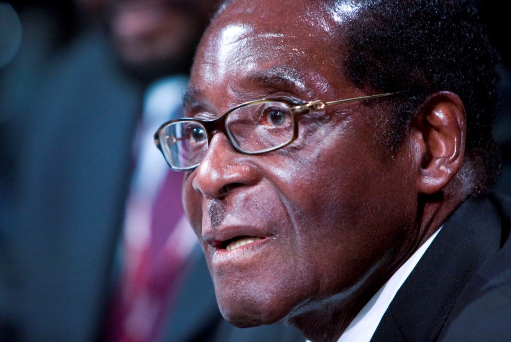 Africa> Mugabe holds lavish birthday at Victoria Falls - Moneyweb