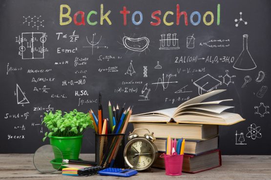 Why school fees matter: Inside the real economics of high school ...
