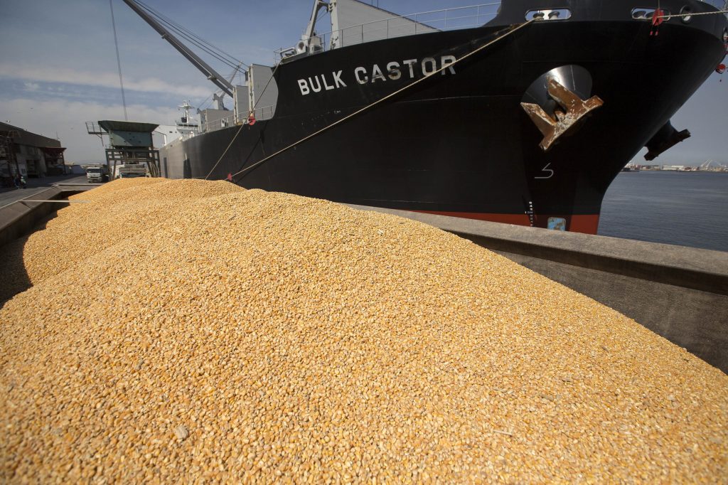 SA receives first shipment of imported white maize since 2017 - Moneyweb