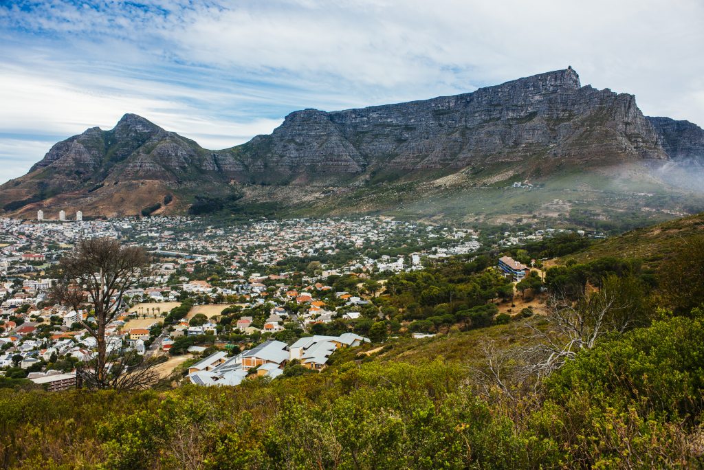 Developer of Amazon offices vows to continue legal fight - Moneyweb