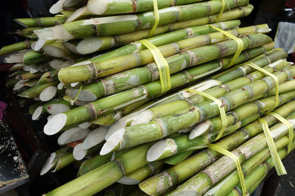 Sugar maker Tongaat eyes Angola for growth - Moneyweb