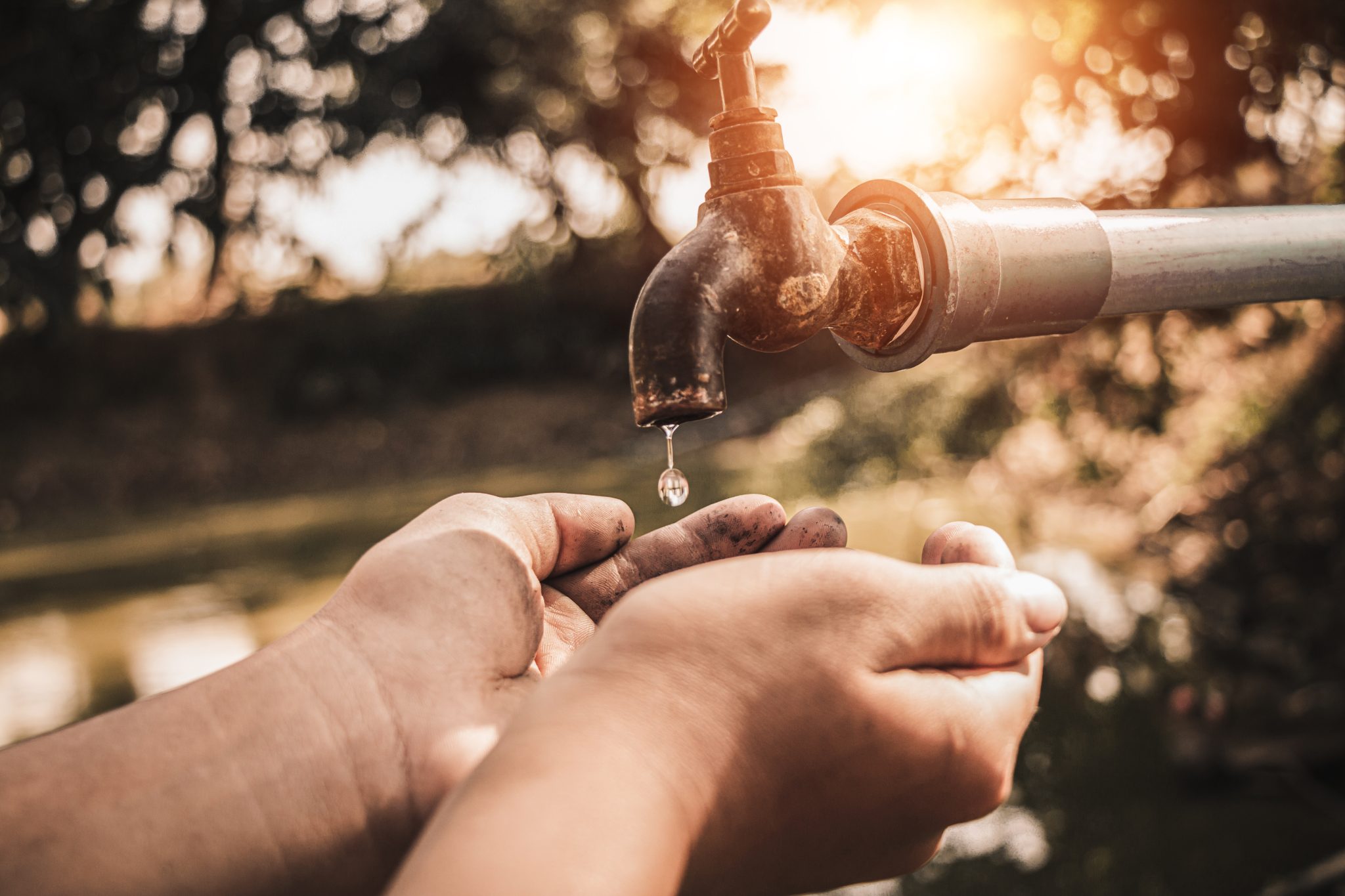 Rand Water writes off millions as municipalities fail to pay - Moneyweb