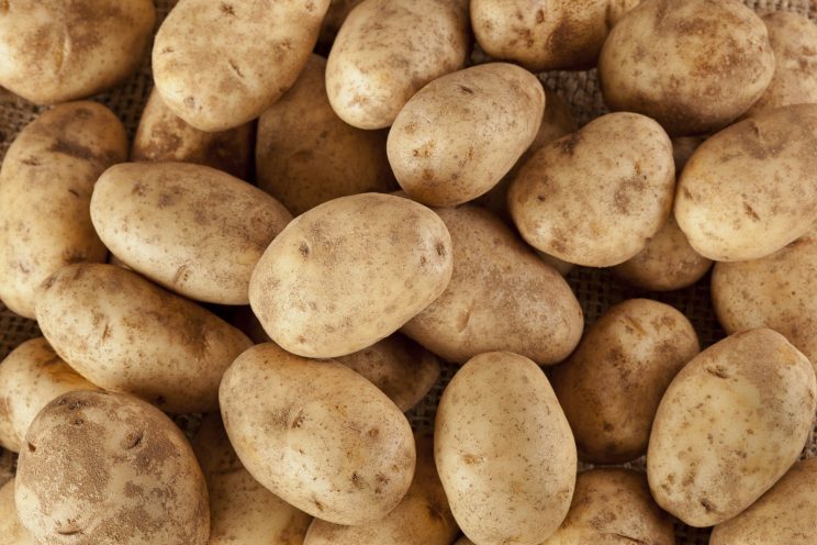 SA potato prices plummet - Moneyweb