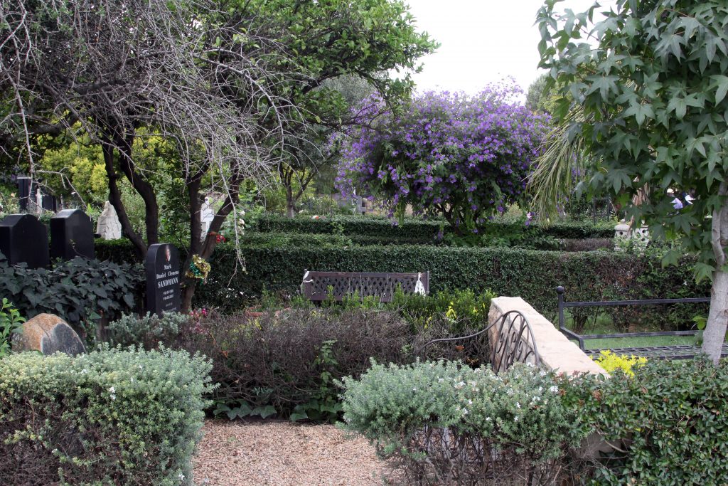 Mama Winnie to rest next to little ones - Moneyweb