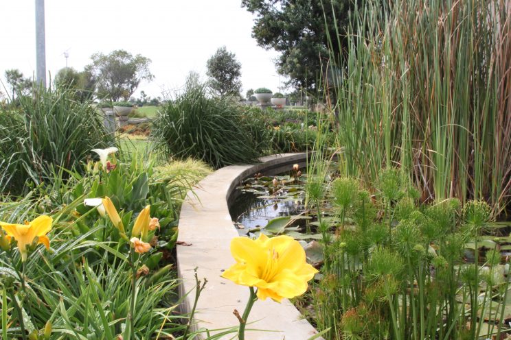 Strong memorial parks performance contributes to Calgro M3 turnaround ...