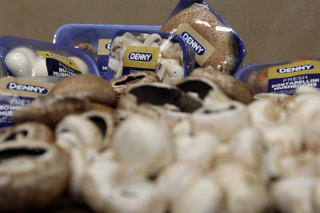 Libstar edging towards vindication - Moneyweb