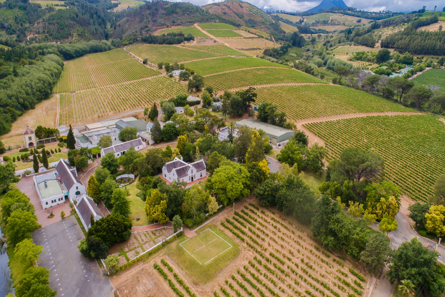 Historic Morgenhof wine estate up for grabs - Moneyweb