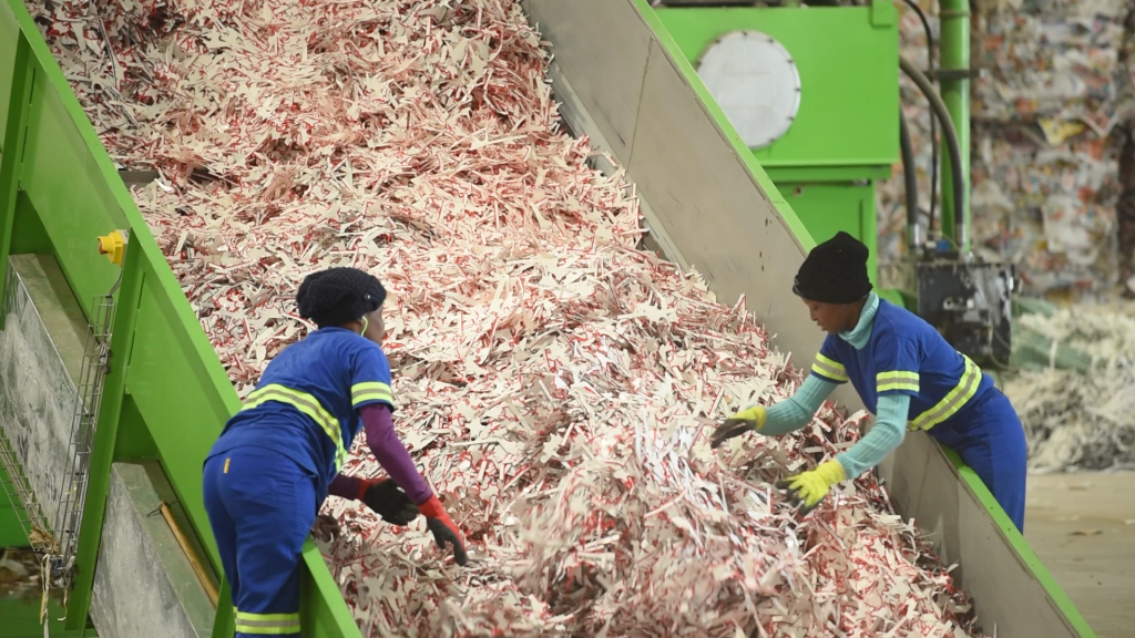 Mpact’s R150m recycling hub to empower SMEs in KZN - Moneyweb