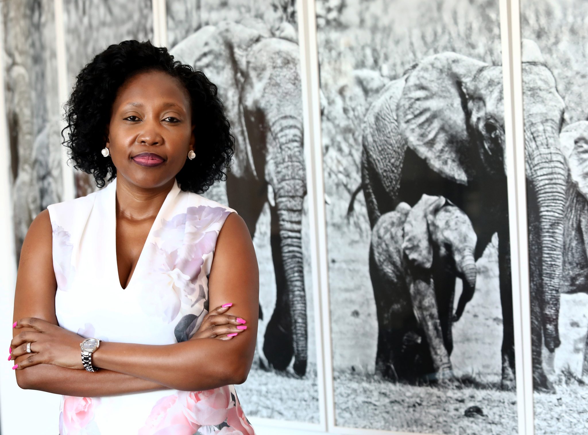 We’ve had 20 acquisitions in a 24-month period – Bidvest CEO - Moneyweb