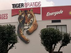 Tiger Brands news articles