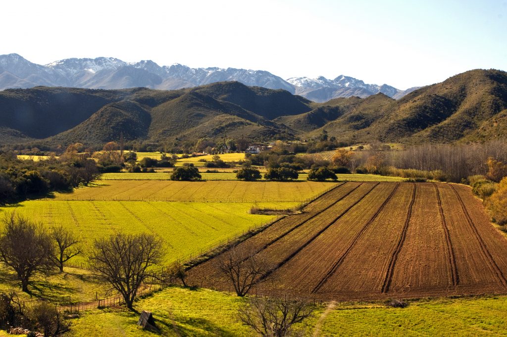 SA moves a step closer to land expropriation without payment - Moneyweb