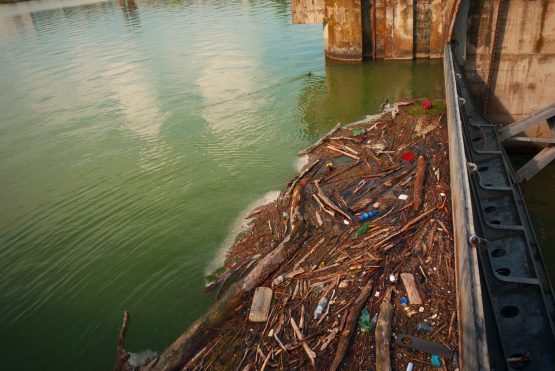Toxic rivers are poisoning the fruits of democracy - Moneyweb