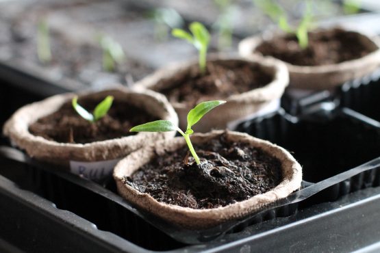 Those aged 35 to 44 lead the way in two-pot withdrawals – Sanlam - Moneyweb