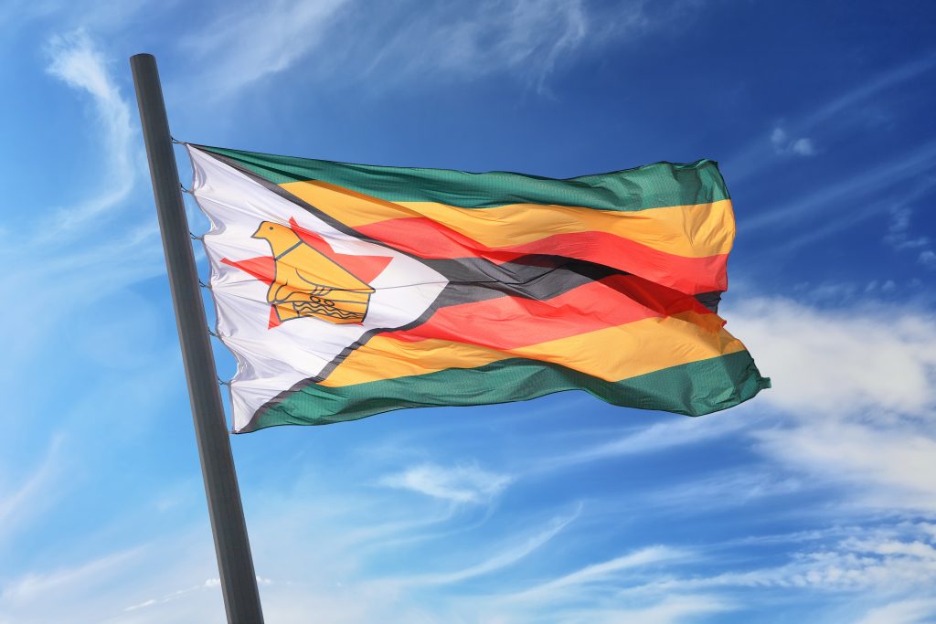 Zimbabweans favour unity government to fix economy: survey - Moneyweb