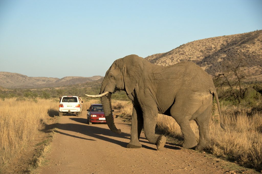 Toerisme het steeds die potensiaal om te groei - Moneyweb