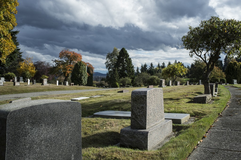 Regulators begin overhaul of funeral insurance in SA - Moneyweb