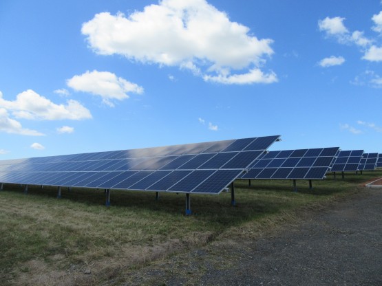 Acsa opens first solar plant at George Airport - Moneyweb