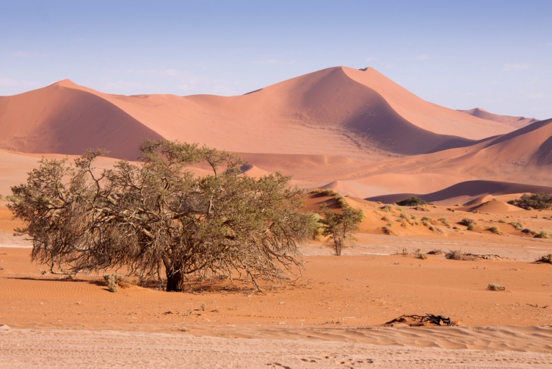 World’s driest desert floods as extreme weather events rise - Moneyweb