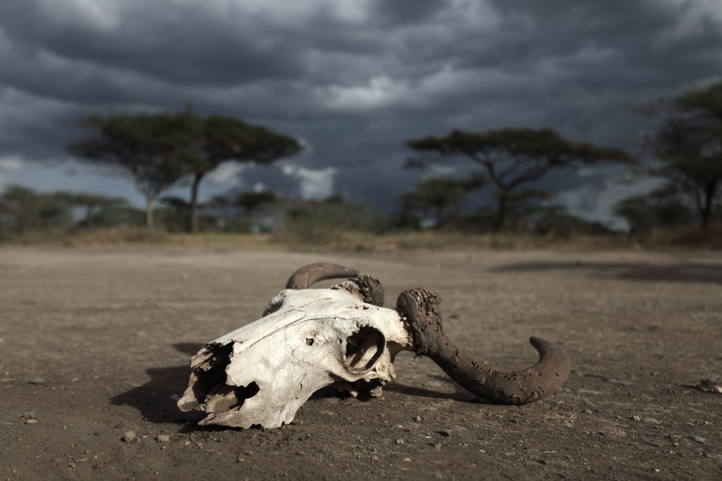 SA’s next inflation shock may begin with rain that does not fall - Moneyweb