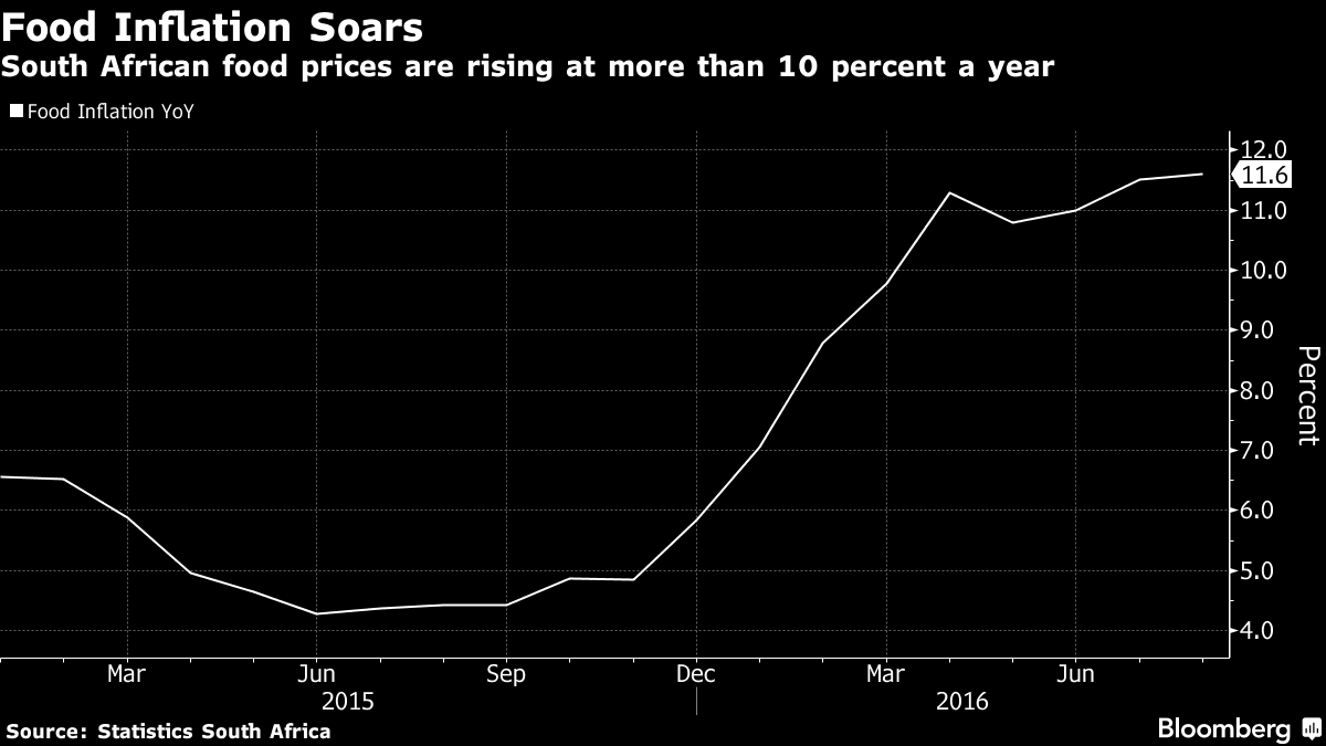 ‘Catastrophe’ seen by SA agriculture if drought persists - Moneyweb