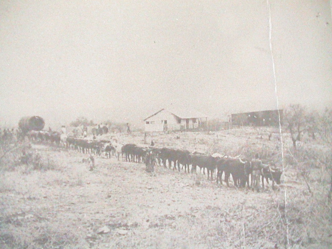 The history and legacy of Sandton Central - Moneyweb