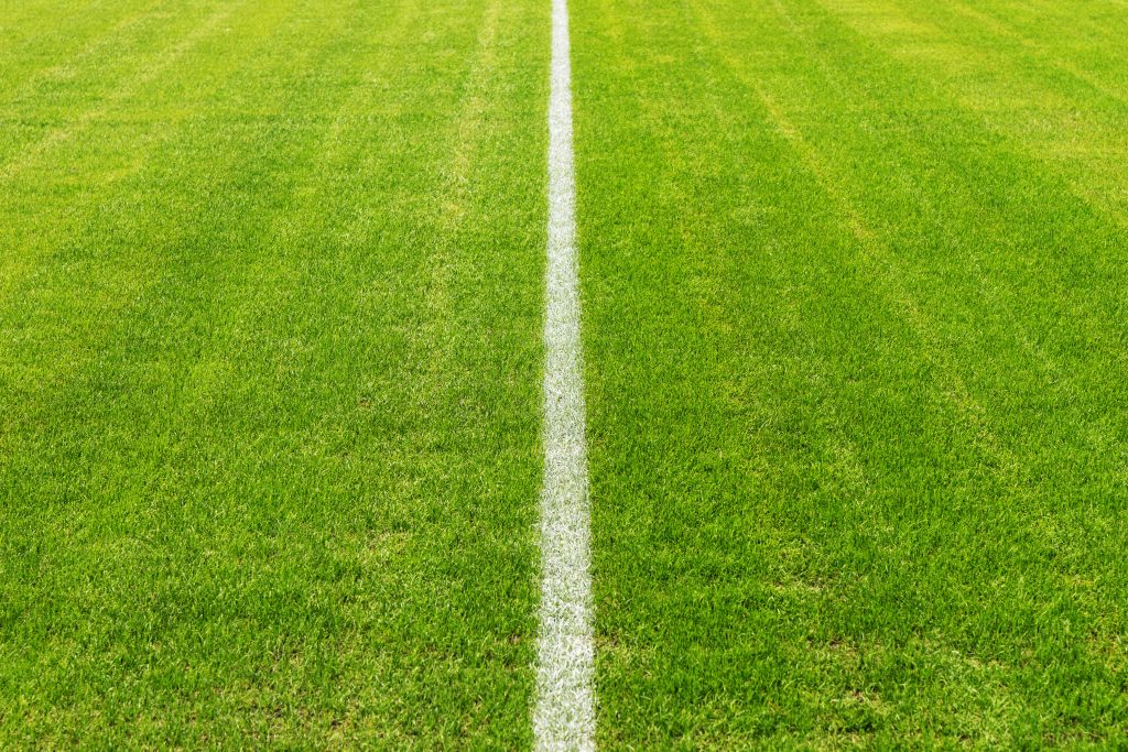 The middle ground - Moneyweb