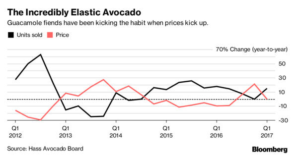 Avocado prices are surging — for now - Moneyweb