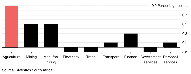 SA drought slams everything from grapes to lambs - Moneyweb