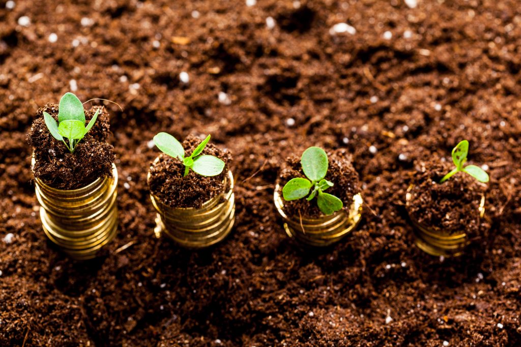 The growing venture capital market, is it for you? - Moneyweb