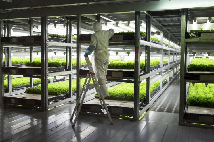 Skyscraper farms are about to go global - Moneyweb