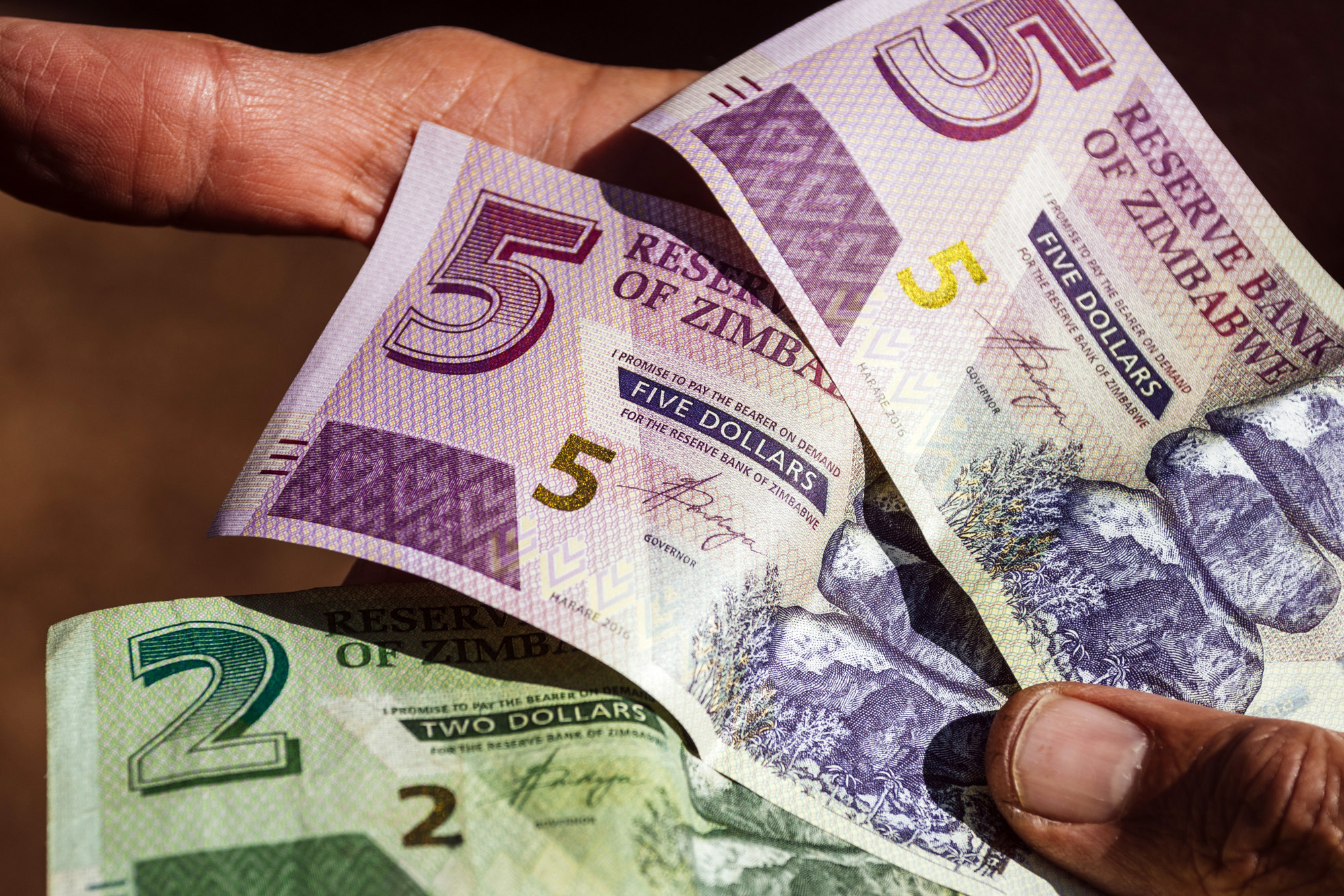 Zimbabwe rules out return to US dollar - Moneyweb