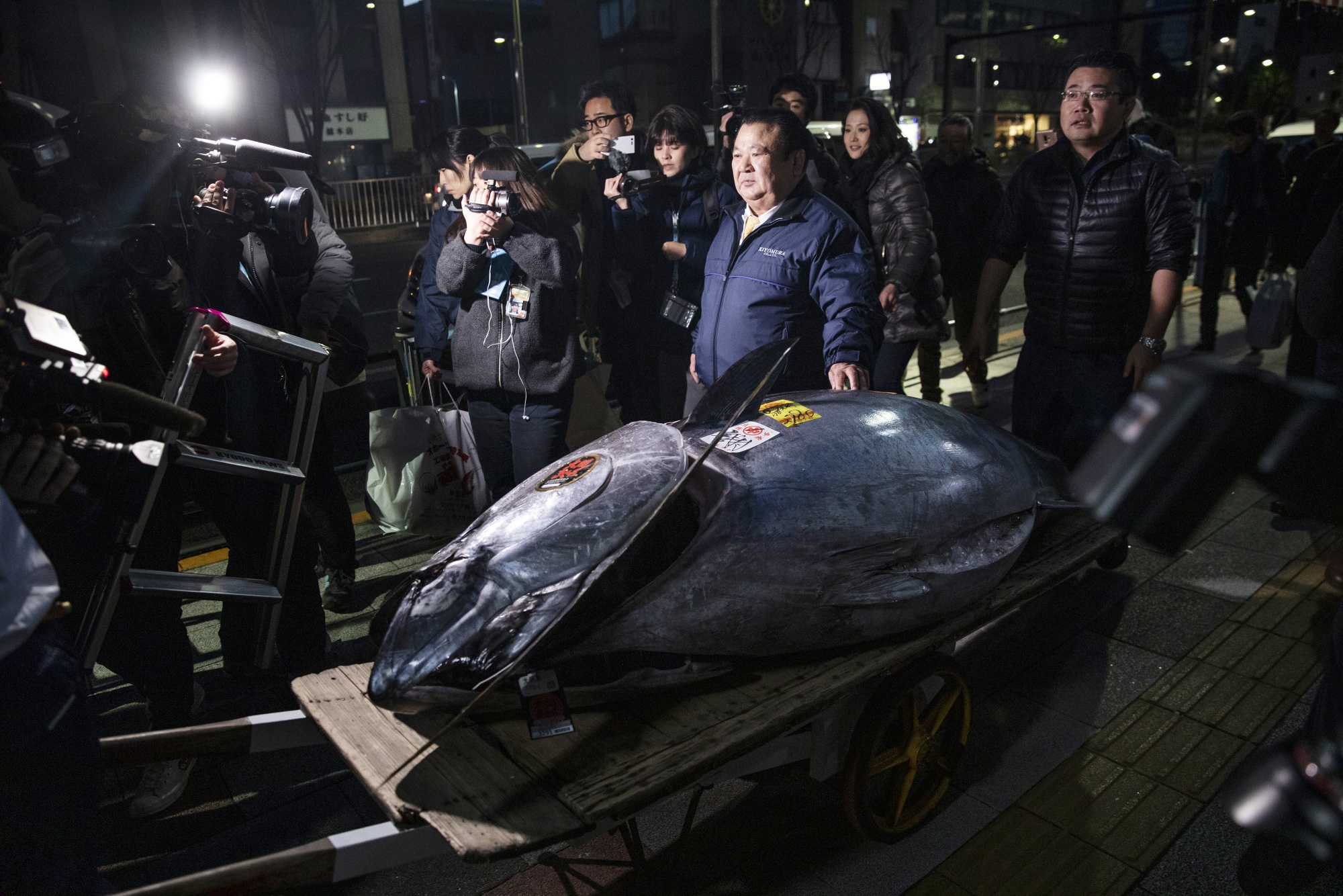 World’s most-prized fish sold for $3.1m at Tokyo auction - Moneyweb