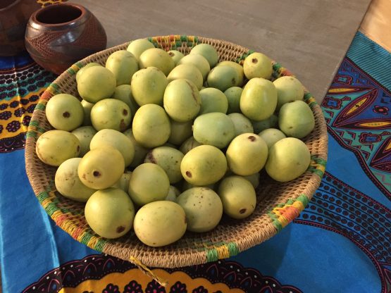 Limpopo plans multi-million rand marula hub - Moneyweb