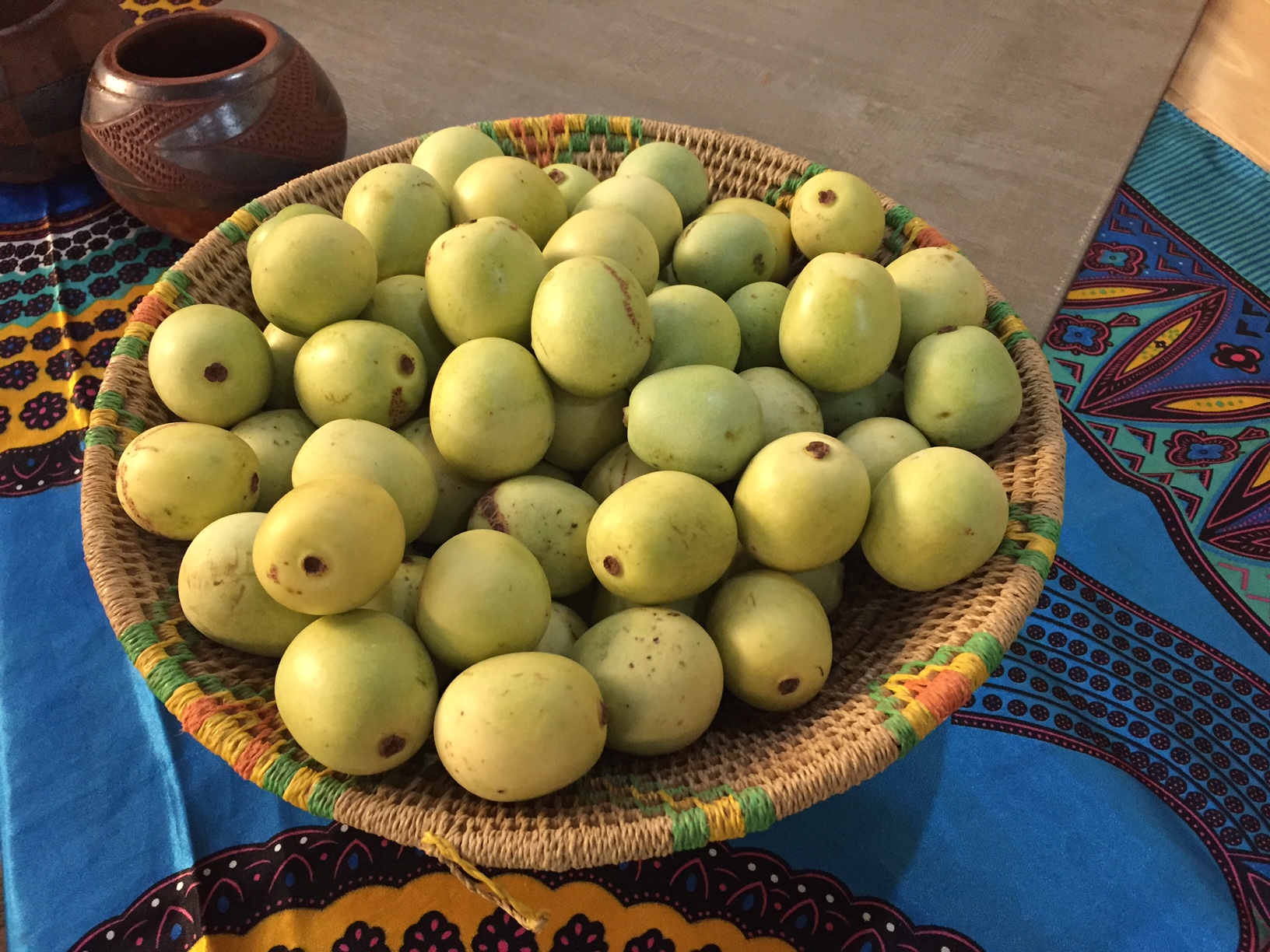 Limpopo plans multi-million rand marula hub - Moneyweb