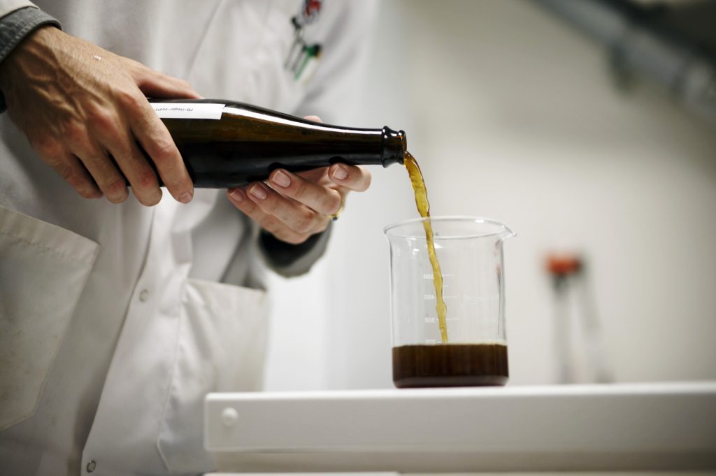 Scientists race to make pot like booze, so you can drink it - Moneyweb