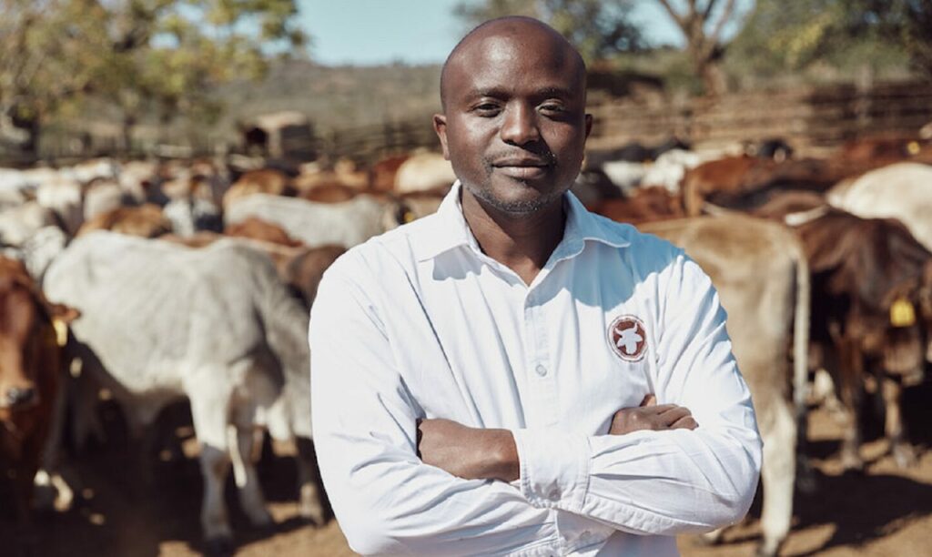 FSCA ‘clears’ Livestock Wealth of wrongdoing - Moneyweb