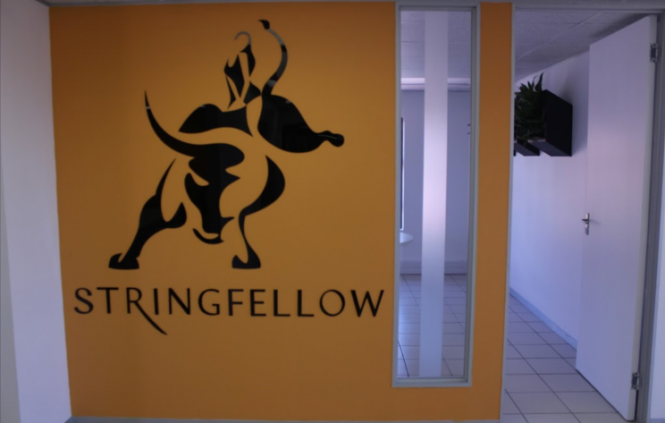 Stringfellow investors left bewildered - Moneyweb