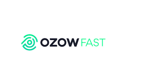 SME of the week: Digital payment platform Ozow - Moneyweb