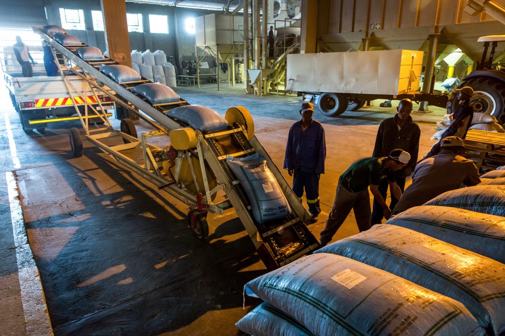 Kaap Agri sees growth despite challenging conditions - Moneyweb