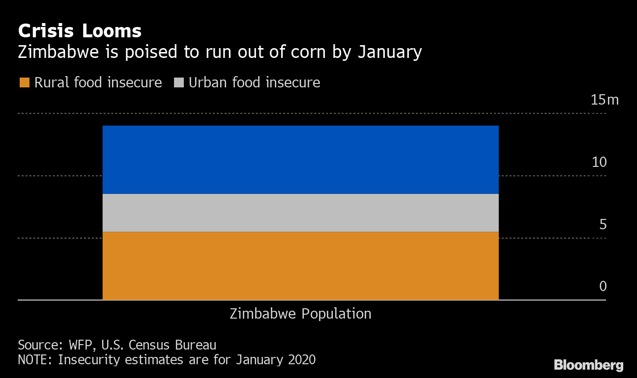 Zimbabwe facing food crisis as economy collapses - Moneyweb