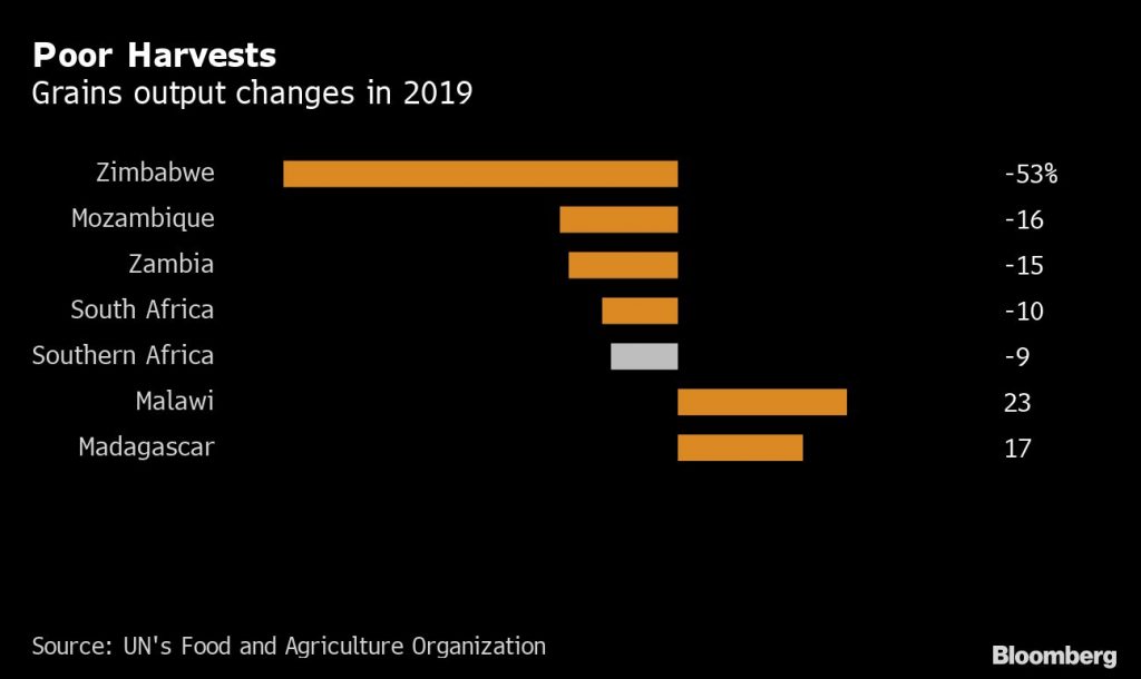 Southern Africa faces unprecedented drought and food shortages - Moneyweb