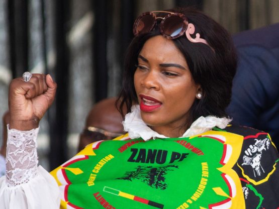 Zimbabwe Vice President’s wife charged with attempted murder - Moneyweb